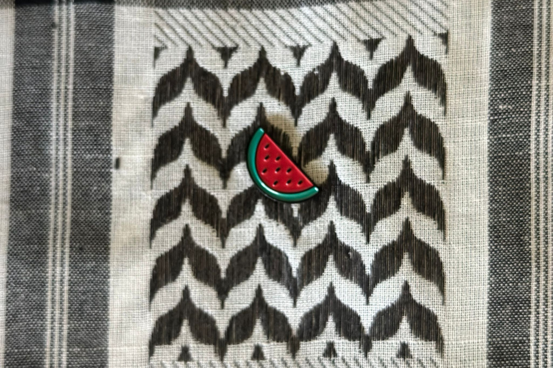 Watermelon Magnetic Pins | Equal Entrance